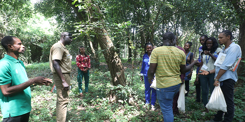 Conservationists learn tree management and propagation practices from ...