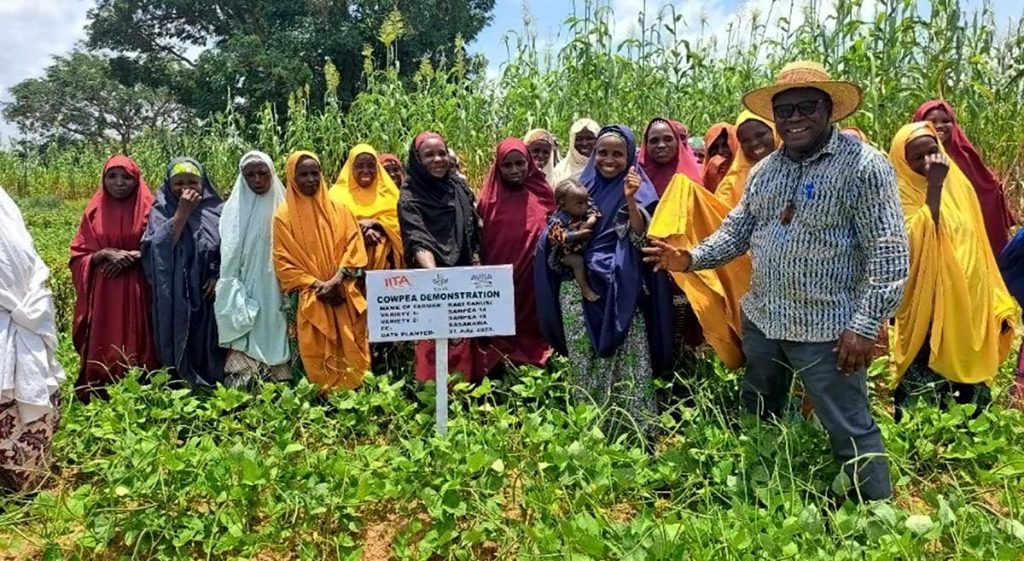 Transforming Nigerian female farmers' lives through soybean and cowpea ...