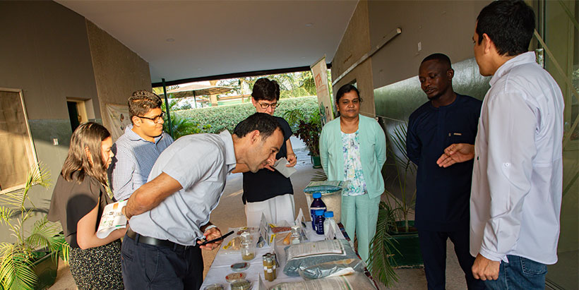 IITA partners with global leaders to deliver soil health and ...