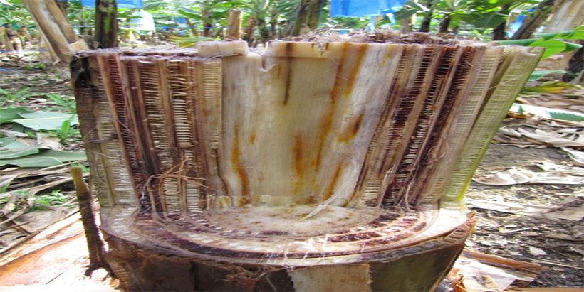 Unlocking-diversity-p02