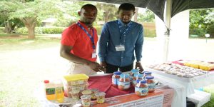 Interventions to Enable African Rural Youth participation in ...