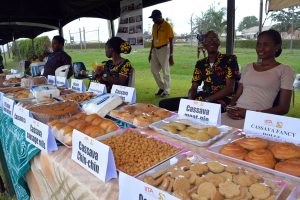 IITA celebrates Open Day in grand style