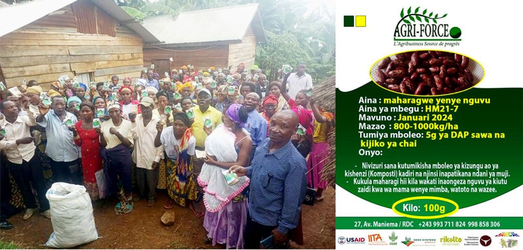 Size matters in seeding success: small packs drive market penetration ...