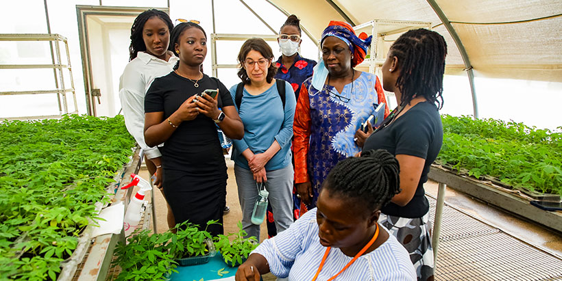 IITA and World Bank collaborate on empowering women and youth in Nigeria