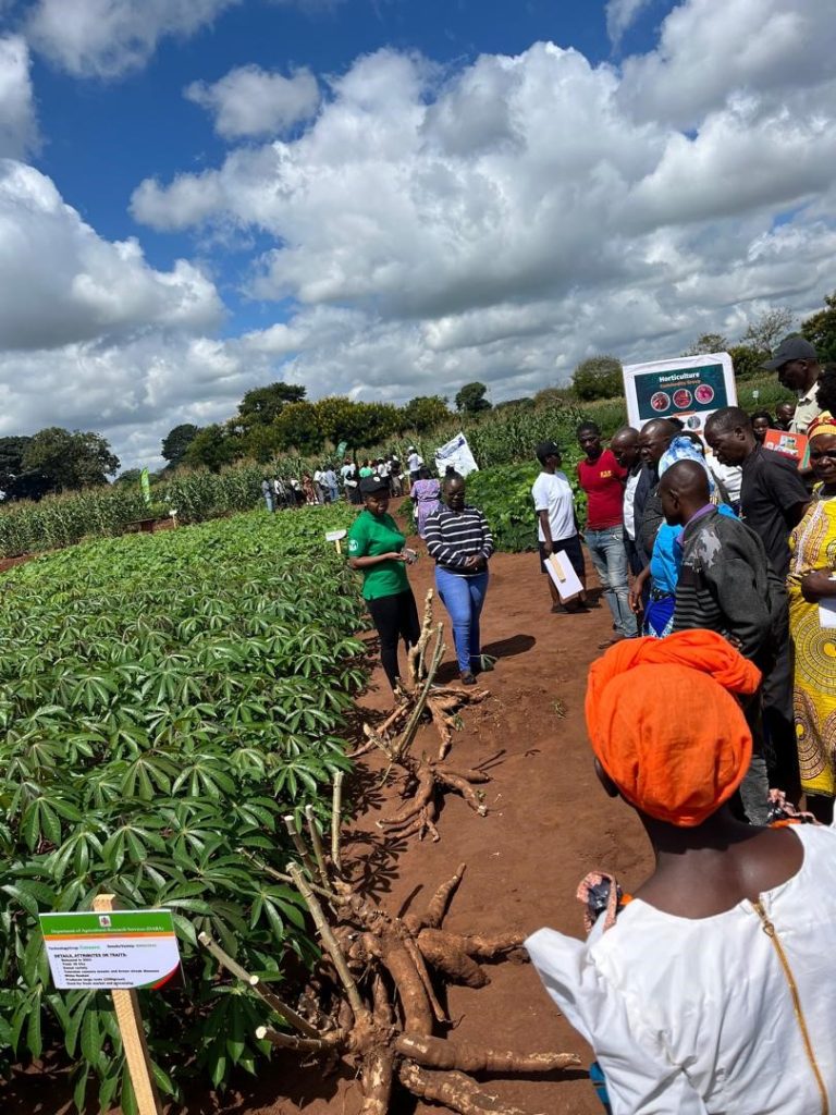 Transformative agricultural innovation unveiled at 62nd Chitedze ...
