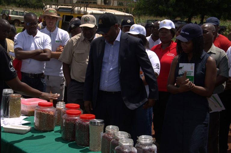 Transformative agricultural innovation unveiled at 62nd Chitedze ...
