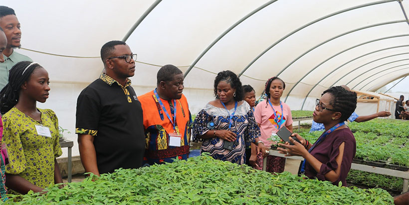 Strengthening Africa's staple crops: RTB Cassava and Yam WCA Network ...