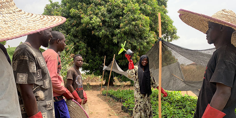 Rise from aspiring medical doctor to agribusiness leader: Azeezat's ...