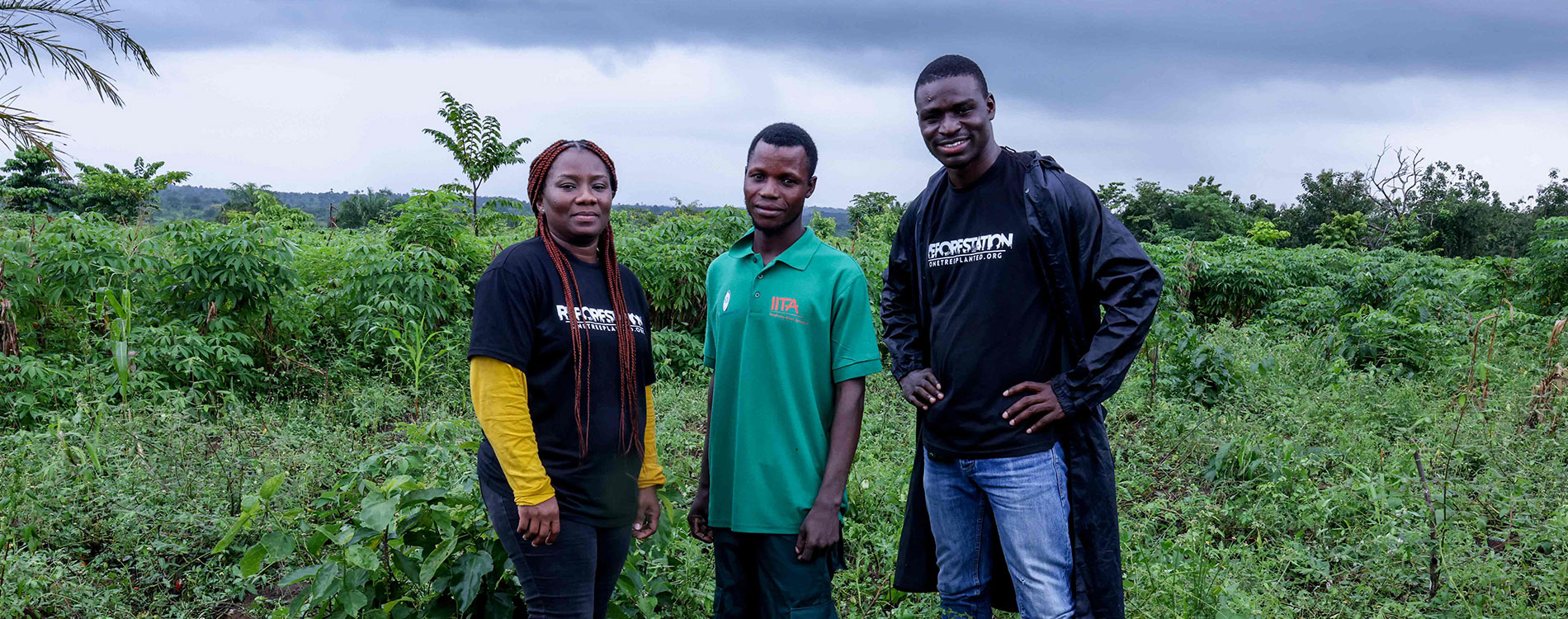 AFR100 Project: Stakeholders highlight reforestation impact amidst ...