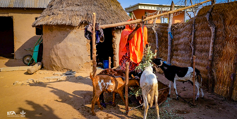 From drops of oil to drums of milk: Zainab Aliyu’s exciting journey to ...