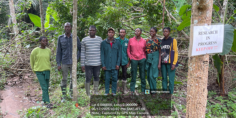 Seeds of hope: IITA Forest Center expands conservation work through ...