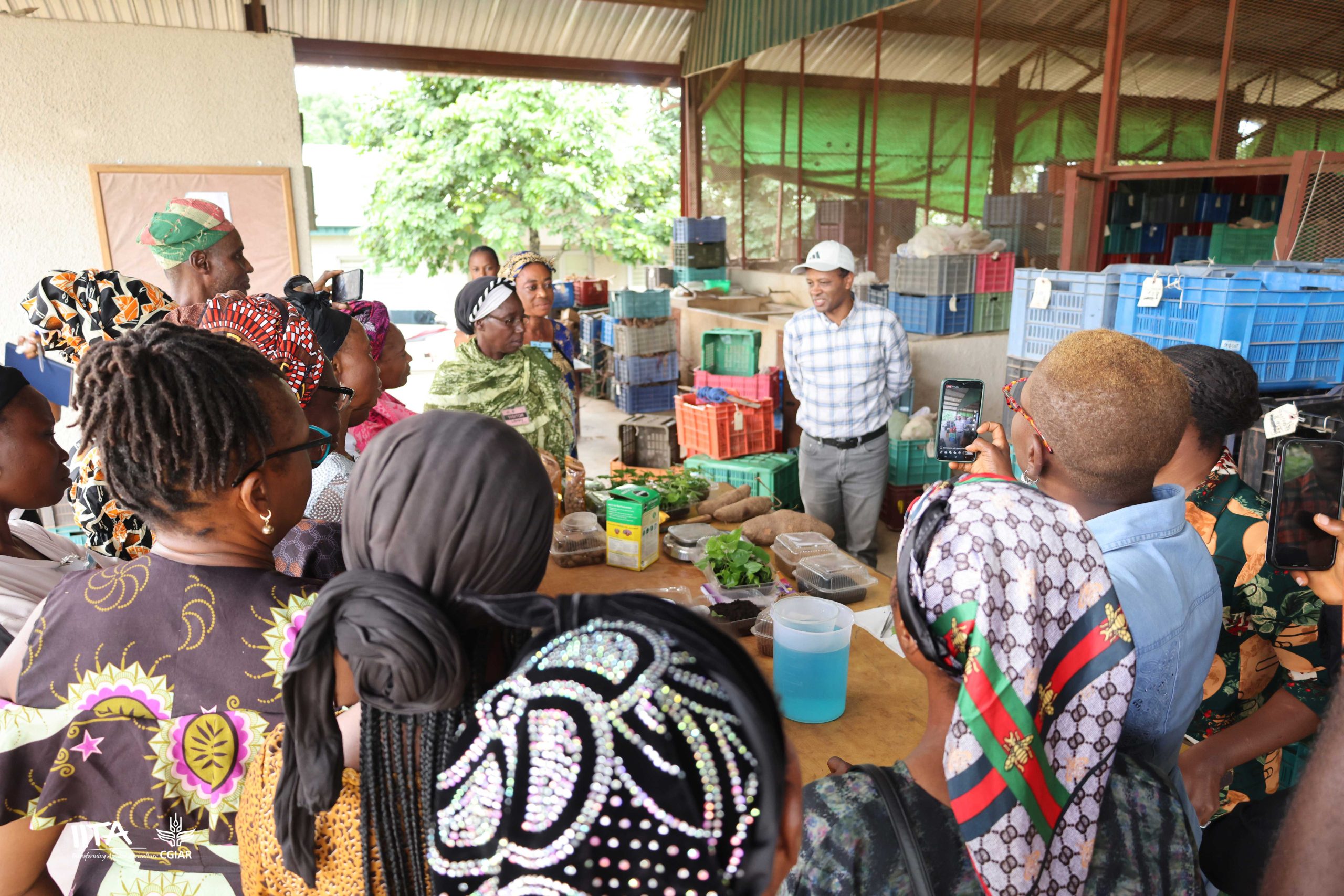 Systems Transformation Initiatives Archives | Page 2 of 14 | IITA